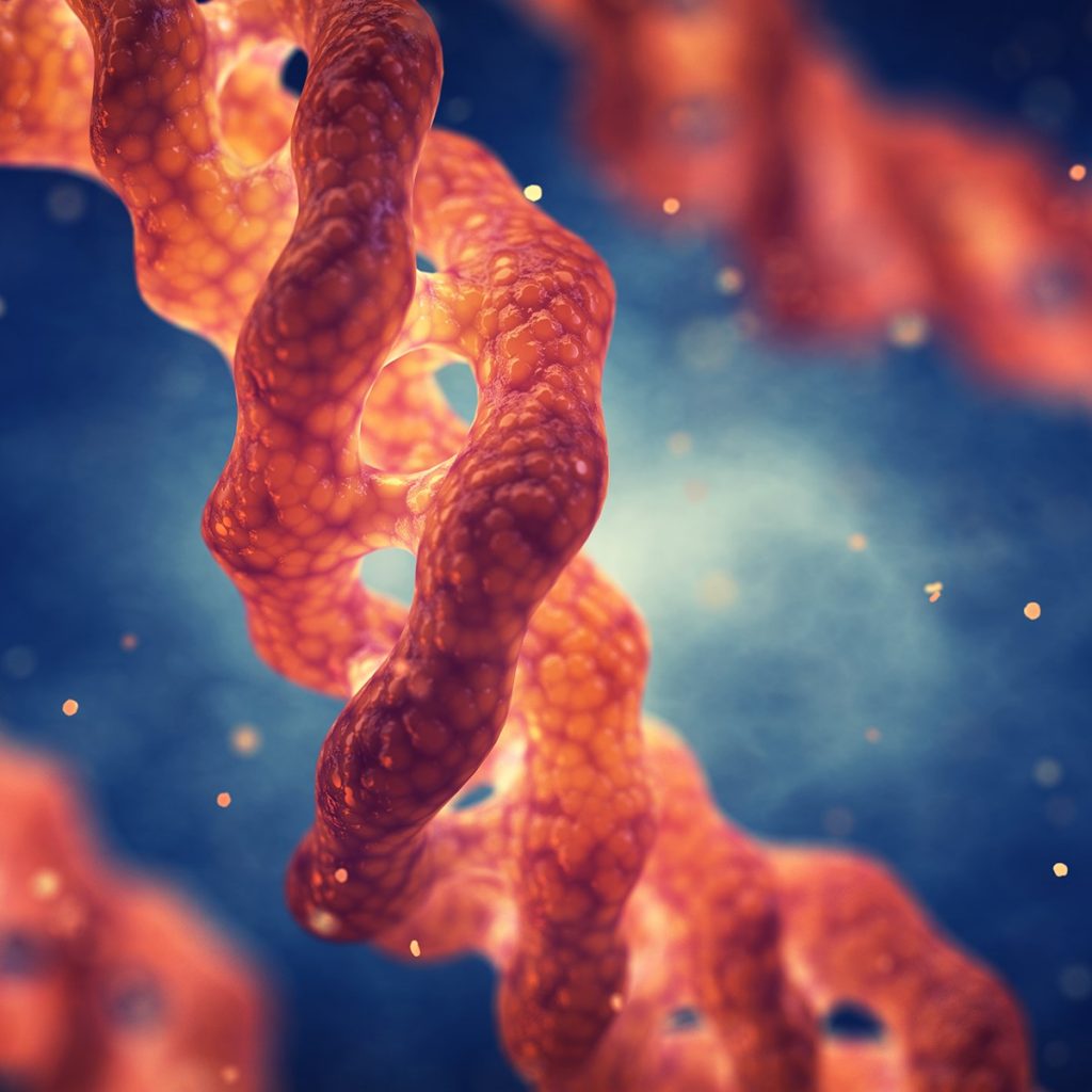 Collagen : Inside and Out | Skinsmart | Dermatologist recommended ...